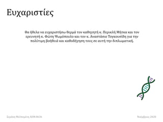 Melpomeni Seraki Diploma Thesis Presentation | PPTX