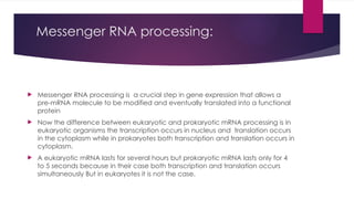 presentation messenger RNA processing by sania urooj roll no 08.pptx