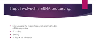 presentation messenger RNA processing by sania urooj roll no 08.pptx