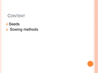 methods of sowing Of crops | PPTX