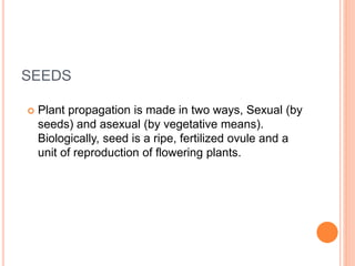methods of sowing Of crops | PPTX