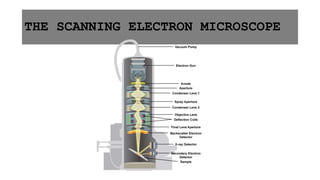 Presentation forensic micoscopy SEM microscope.pptx