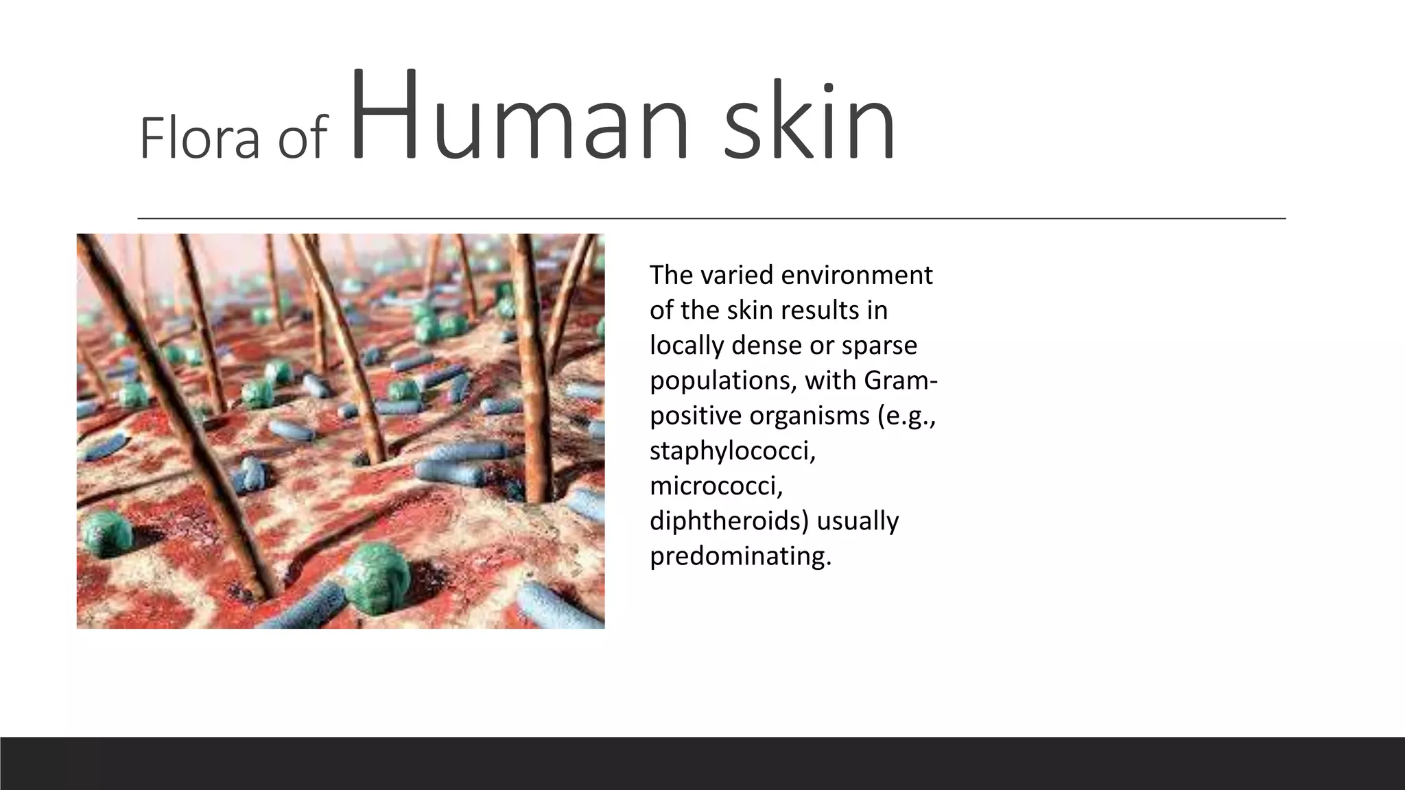 Human microbiome | PPTX