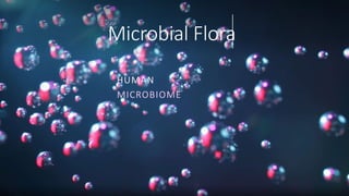 Human microbiome | PPT