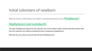 Human microbiome | PPT