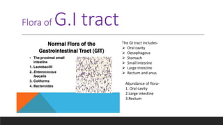Human microbiome | PPTX