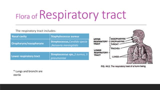 Human microbiome | PPT