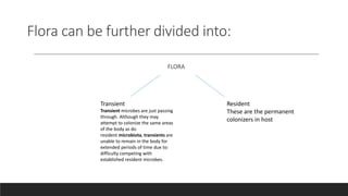 Human microbiome | PPT