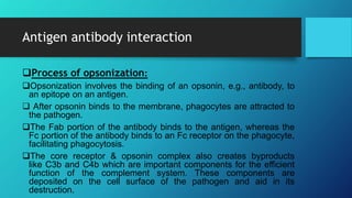Ag-Ab reactions Microbiology | PPT