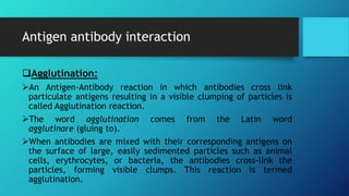 Ag-Ab reactions Microbiology | PPT