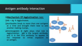 Ag-Ab reactions Microbiology | PPT