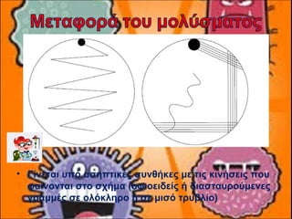 ΜΙΚΡΟΒΙΑ - ΕΥΚΟΛΑ ΘΡΕΠΤΙΚΑ ΥΛΙΚΑ | PPT