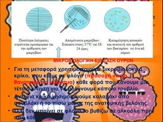 ΜΙΚΡΟΒΙΑ - ΕΥΚΟΛΑ ΘΡΕΠΤΙΚΑ ΥΛΙΚΑ | PPT | Free Download
