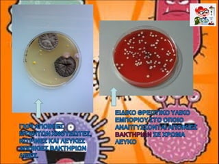 ΜΙΚΡΟΒΙΑ - ΕΥΚΟΛΑ ΘΡΕΠΤΙΚΑ ΥΛΙΚΑ | PPT