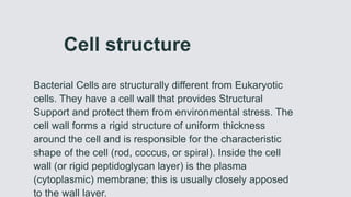 Presentation microbiology.pptx