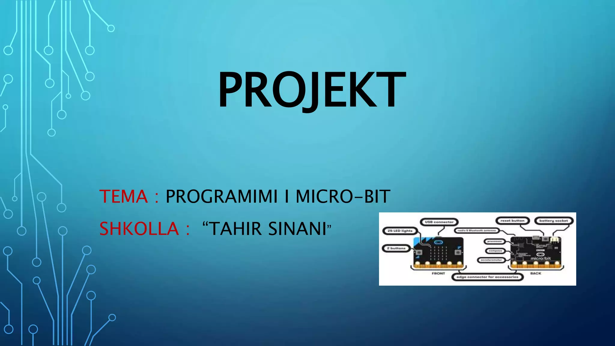 Presentation (micro bit).pptx