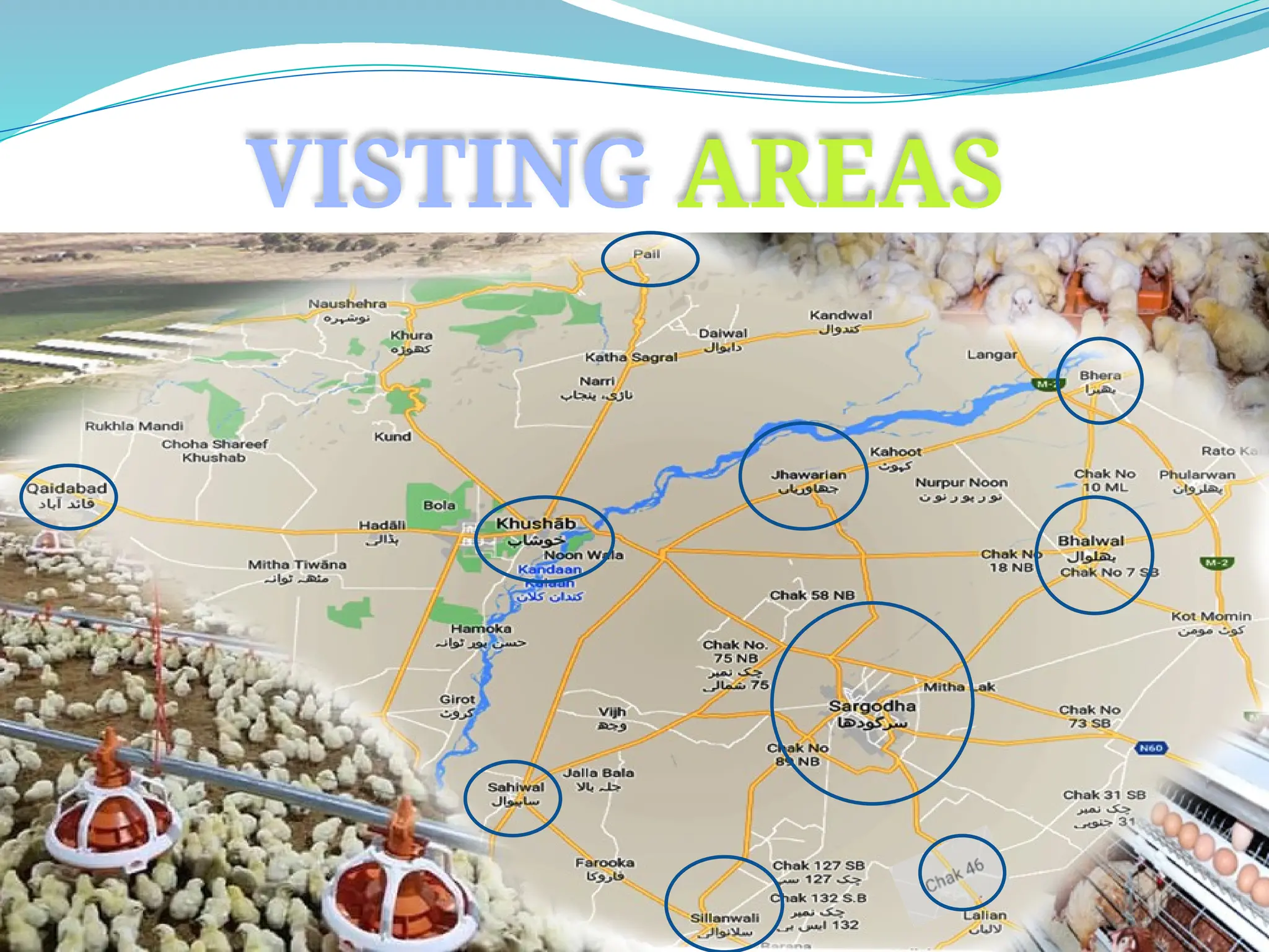 presentation on sales information Sargodha Area.pptx