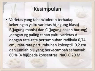 Pemilihan Bibit Jagung dengan Pemberian NaCl untuk Mendapatkan Bibit ...