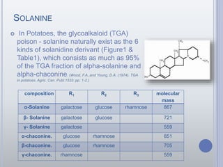 Experiment proposal Design Presentation | PPTX