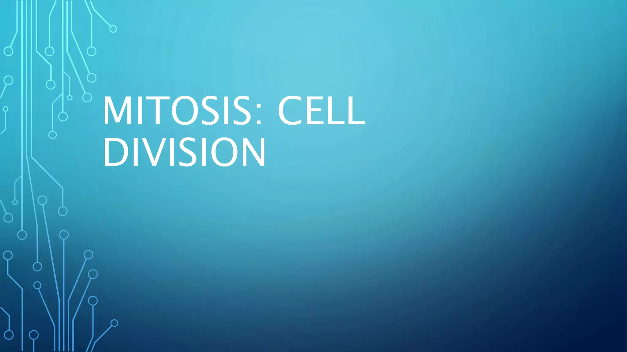 Presentation mitosis | PPT