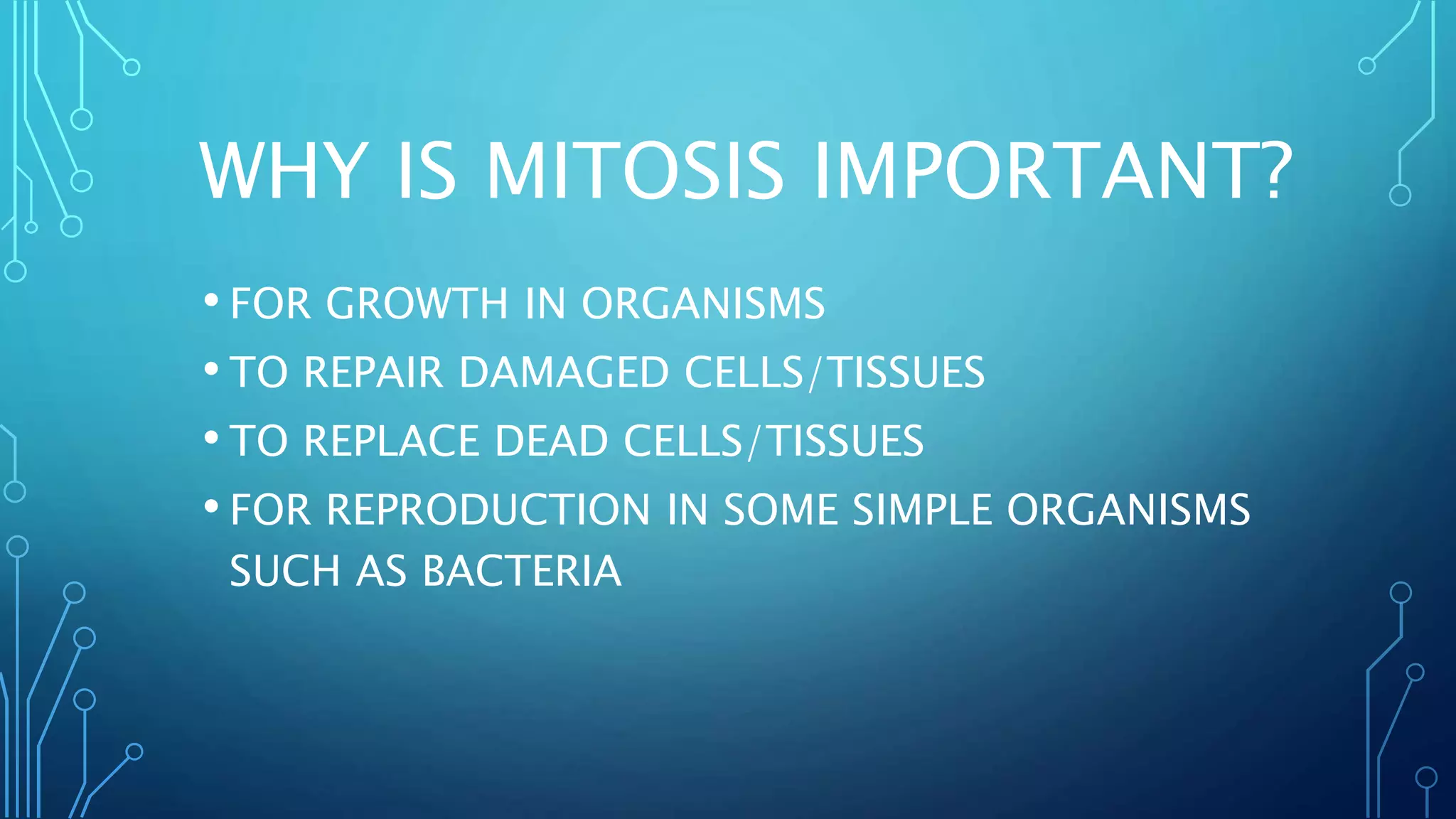 Presentation mitosis | PPT
