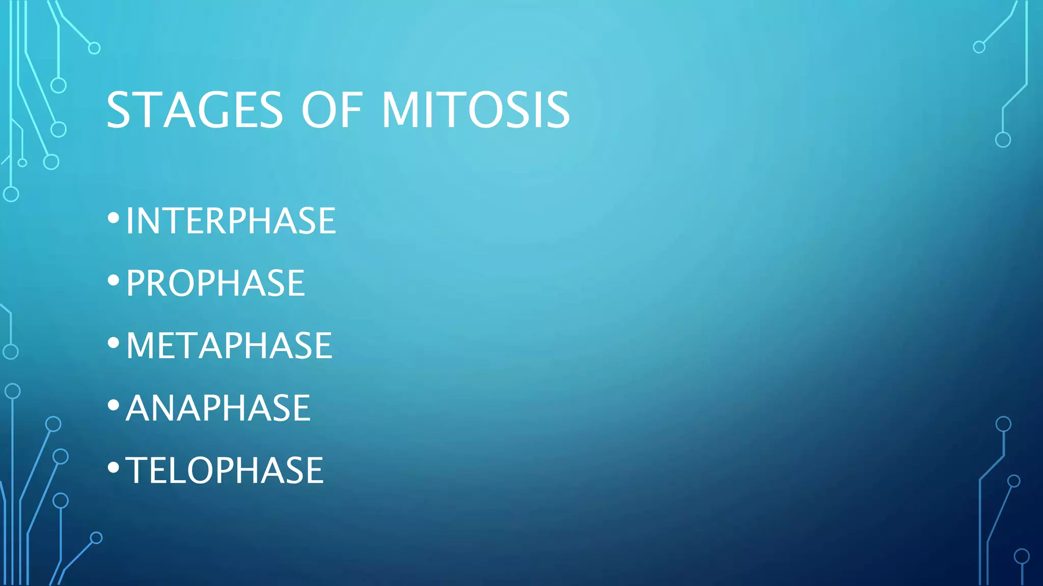 Presentation mitosis | PPT