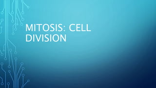 Presentation mitosis | PPT