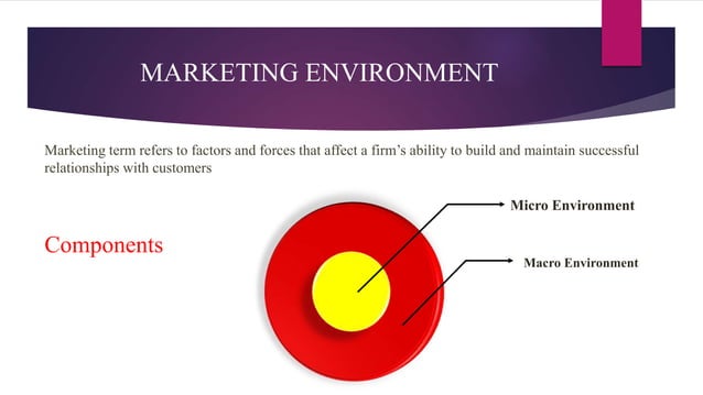 Different Types of Marketing Environment | PPT
