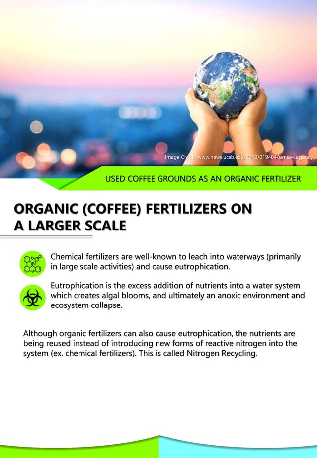 Used Coffee Grounds as an Organic Fertilizer | PPTX