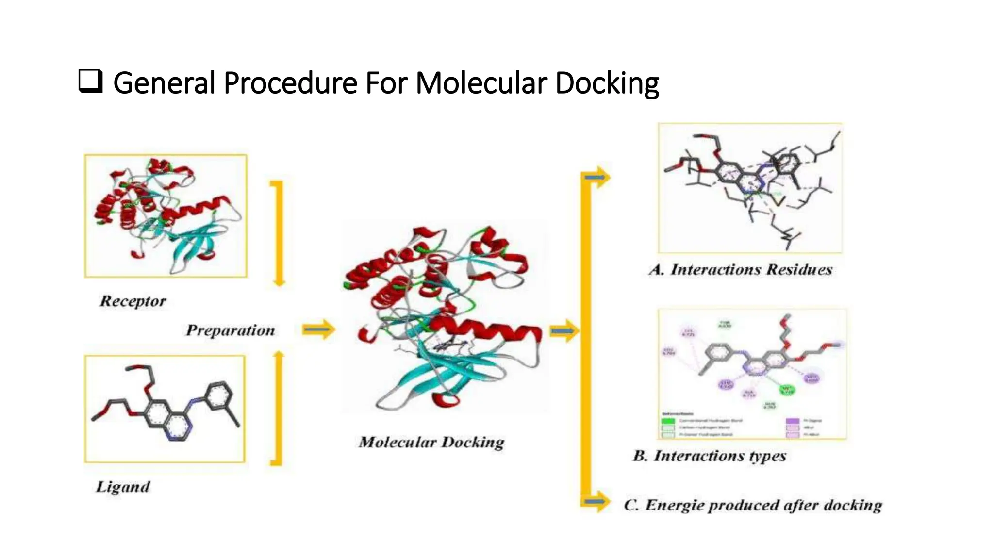 MOLECULAR DOCKING PRINCIPAL OF DRUG DISCOVERY | PPTX