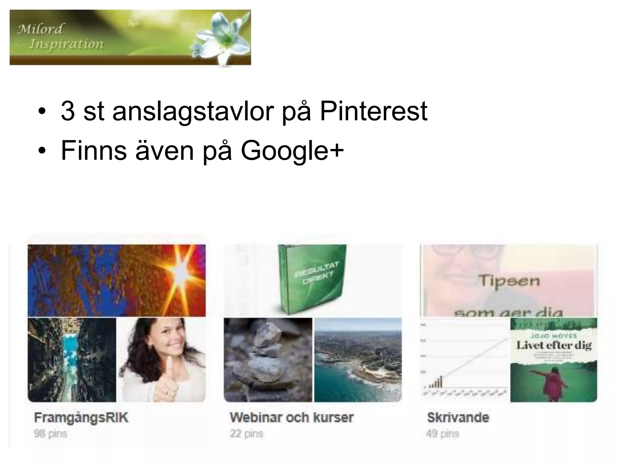 Presentation monica | PPTX