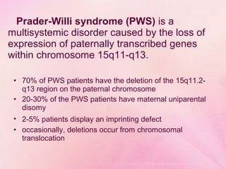 Presentation Monica Stoian | PPT