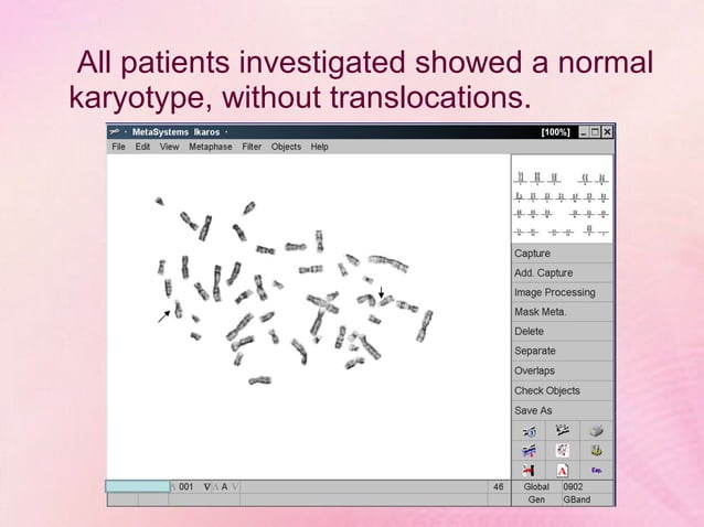 Presentation Monica Stoian | PPT