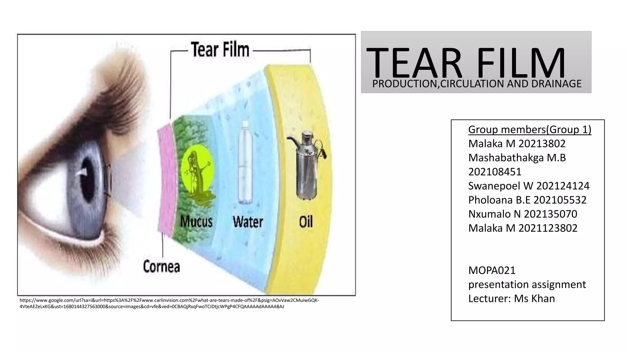 Presentation MOPA021 ANATOMY2 [Autosaved].pptx