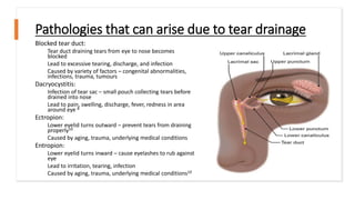 Presentation MOPA021 ANATOMY2 [Autosaved].pptx