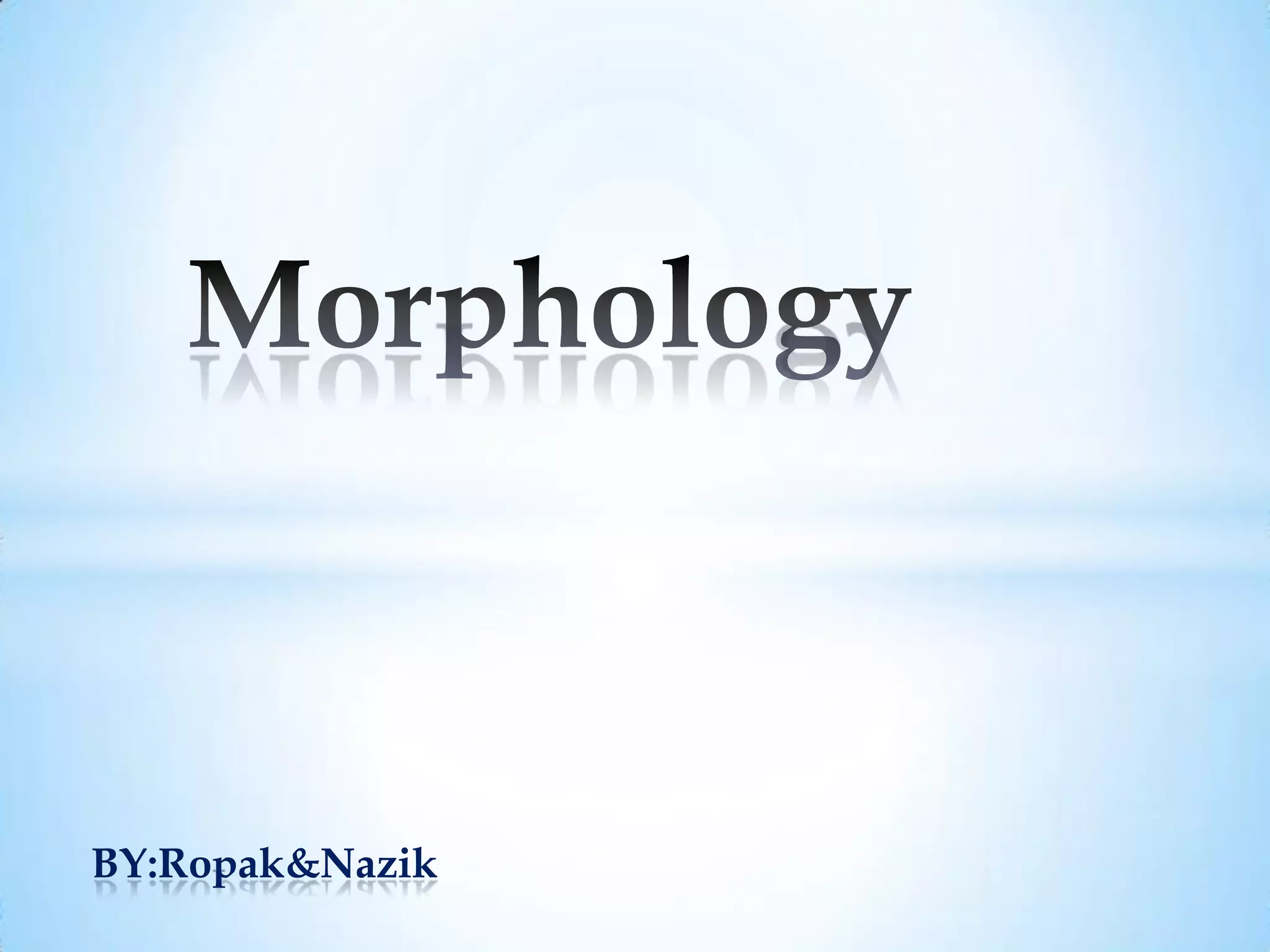 Morphology presentation | PPTX