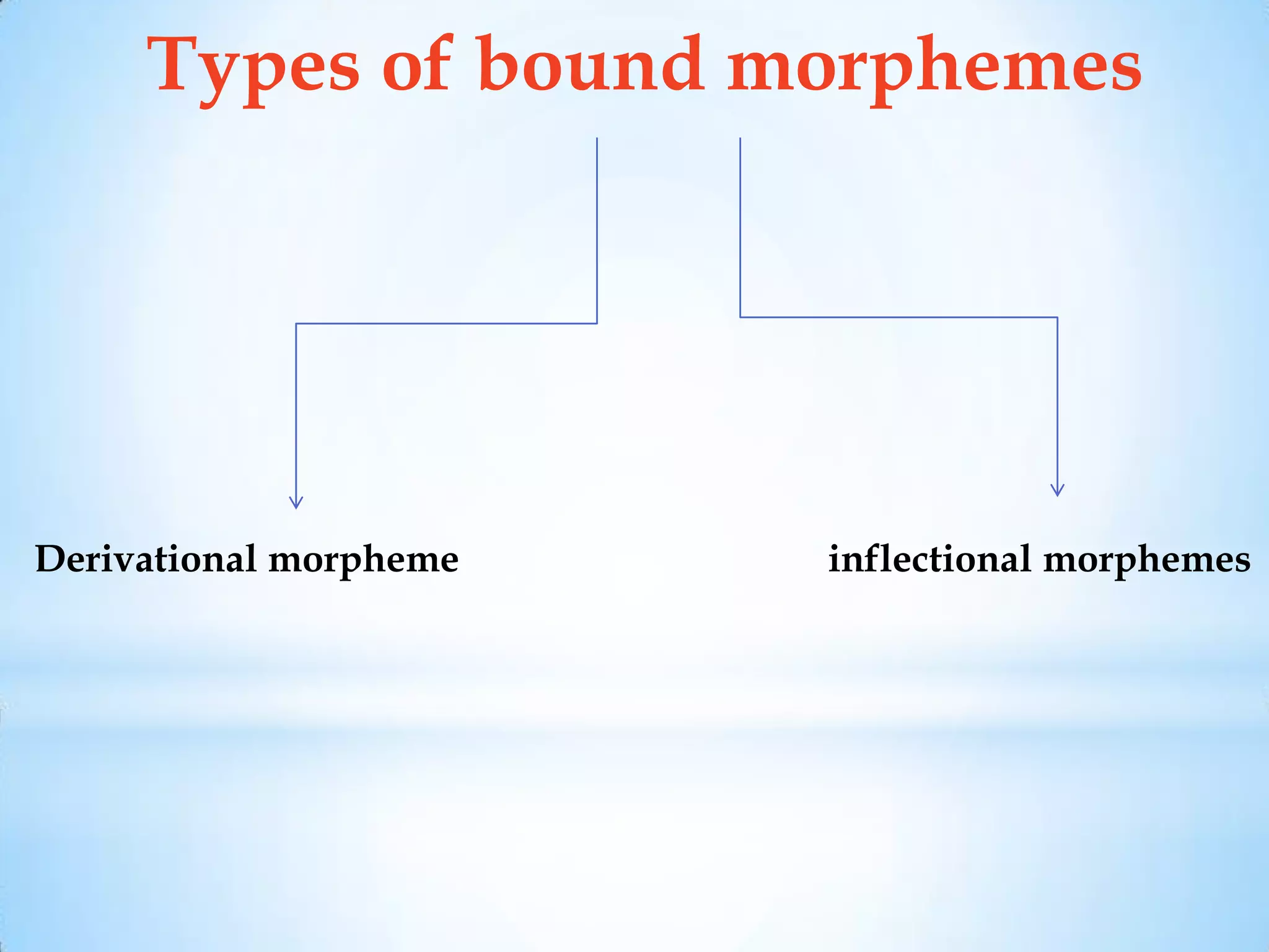 Morphology presentation | PPTX