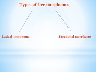 Morphology presentation | PPTX