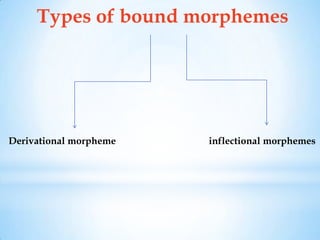 Morphology presentation | PPTX