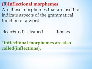 Morphology presentation | PPTX