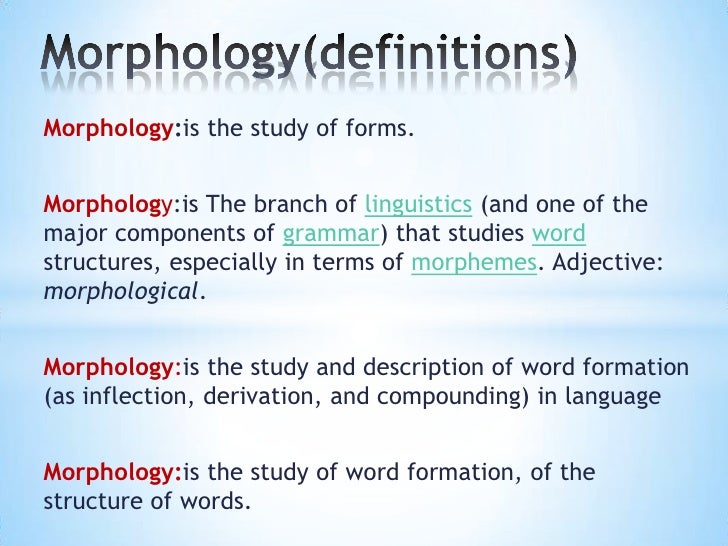 Morphology