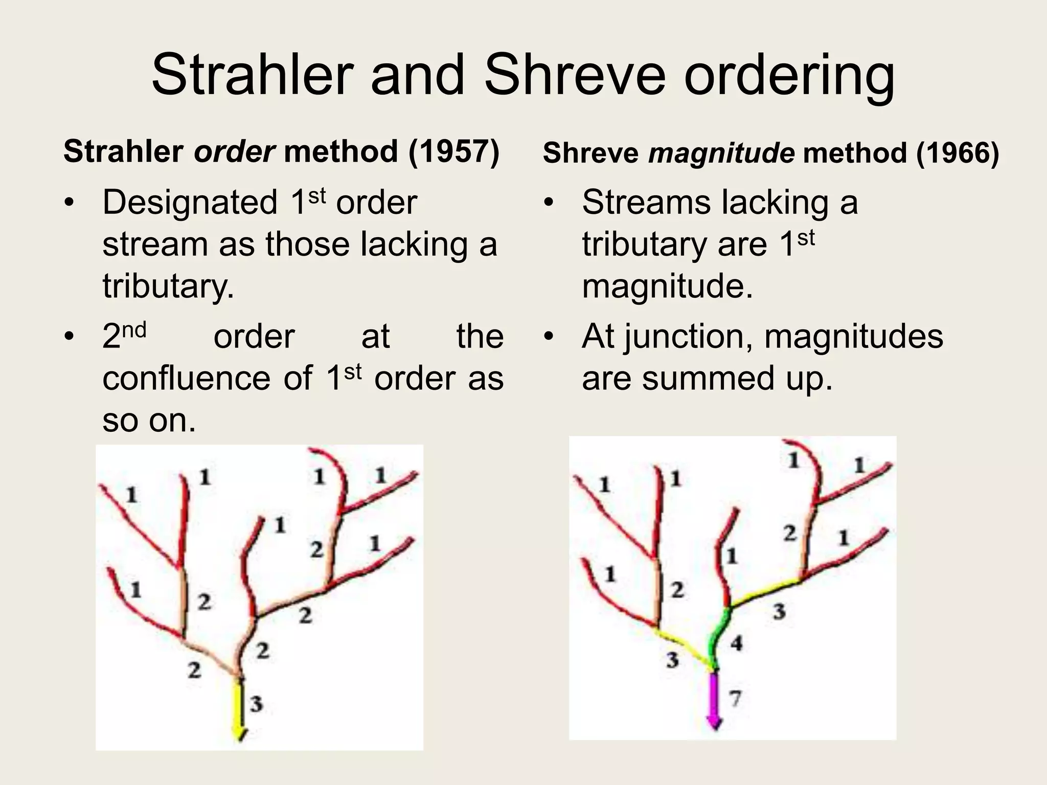 Presentation_Morphometry_pptx.pptx