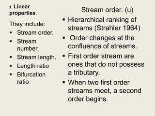 Presentation_Morphometry_pptx.pptx