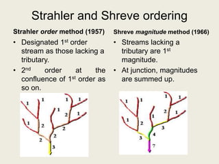 Presentation_Morphometry_pptx.pptx