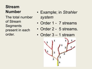 Presentation_Morphometry_pptx.pptx