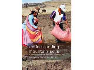Opening of the session: Understanding Mountains soils | PPT
