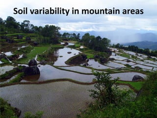 Opening of the session: Understanding Mountains soils | PPT