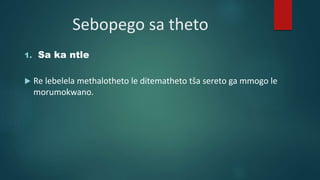 Tshekatsheko ya Theto "Mphakišetše" | PPTX