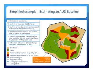 Linking international standards to REDD+ projects | PDF | Developmental ...