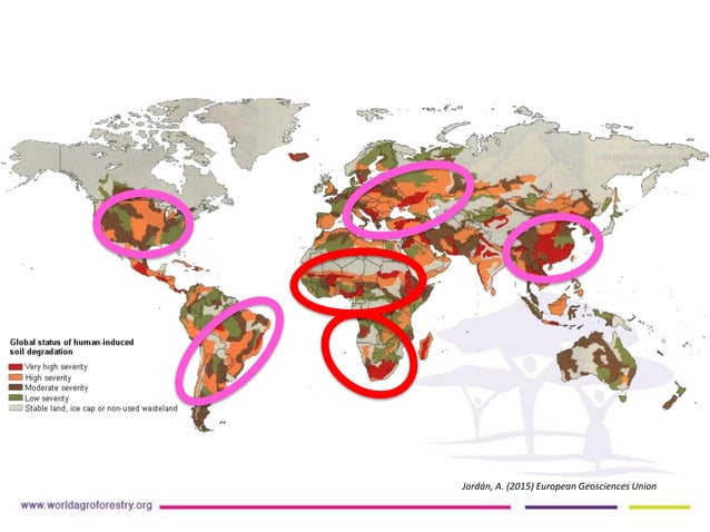 Addressing land degradation and desertification | PDF
